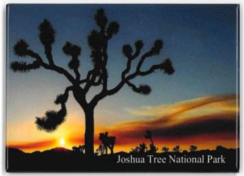 JT Sunrise Magnet – Joshua Tree National Park Association