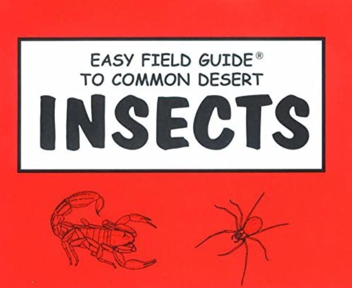 Easy Field Guide To Common Desert Insects – Joshua Tree National Park ...